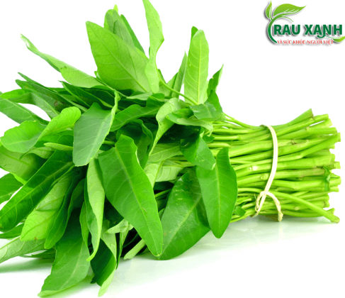 Công dụng của Rau Muống và cách làm các món ăn ngon | rauxanh
