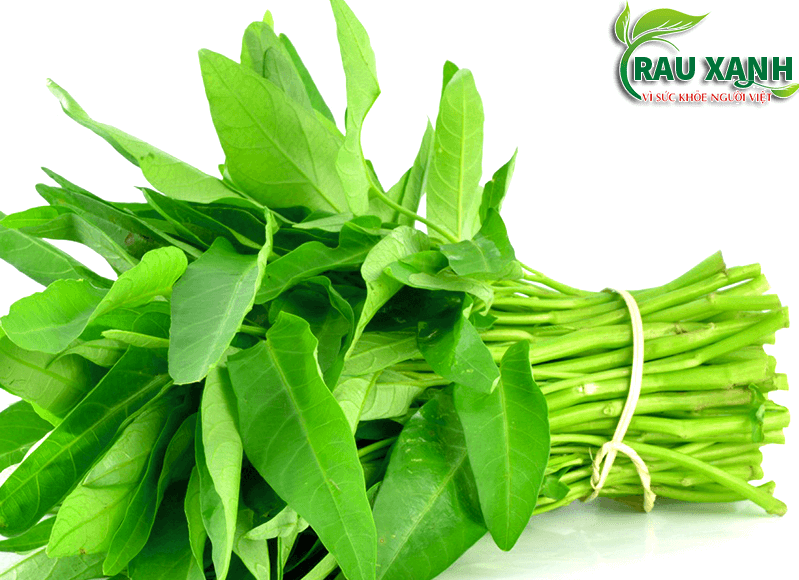 Rau bồ ngót và rau ngót rừng có tác dụng gì? | rauxanh