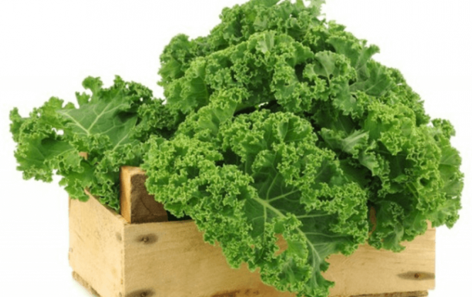 Rau cải có bao nhiêu loại và công dụng của chúng ra sao | rauxanh