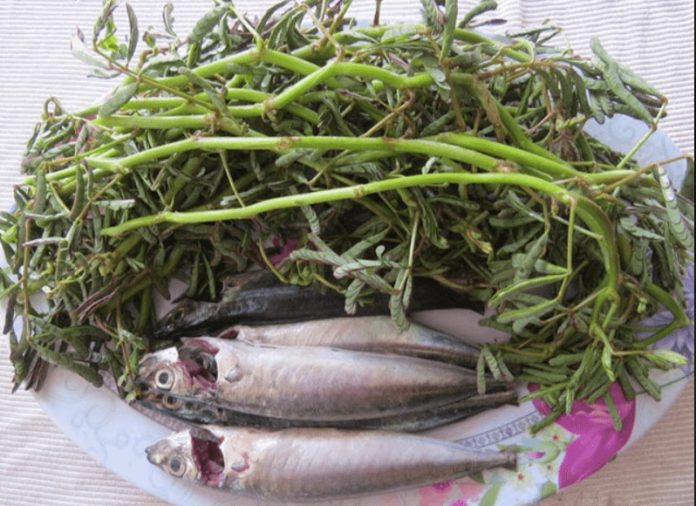 Rau Nhút, Rau Rút | Tìm hiểu công dụng và cách làm món ăn